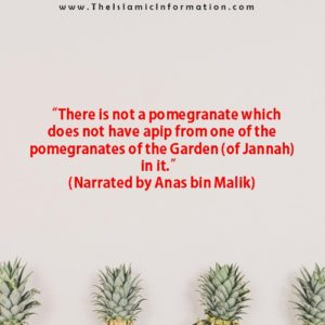 6 Fruits According To Quran And Sunnah That Every One Should Eat