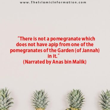6 Fruits According To Quran And Sunnah That Every One Should Eat