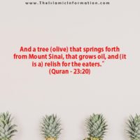 6 Fruits According To Quran And Sunnah That Every One Should Eat