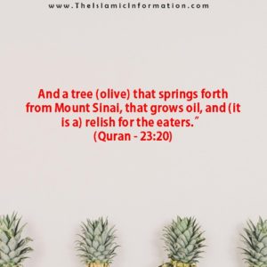 6 Fruits According To Quran And Sunnah That Every One Should Eat