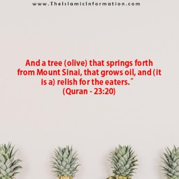 6 Fruits According To Quran And Sunnah That Every One Should Eat