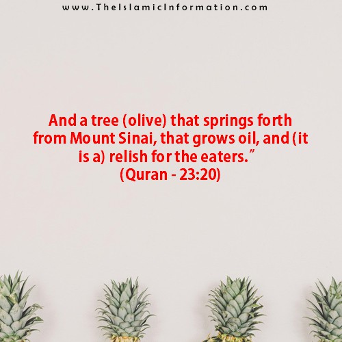 6 Fruits According To Quran And Sunnah That Every One Should Eat
