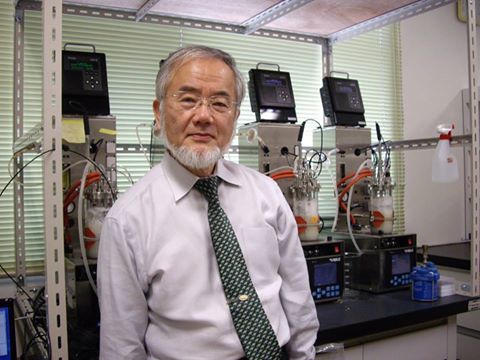 Fasting In Ramadan Helps Fight Cancer, Japanese Scientist