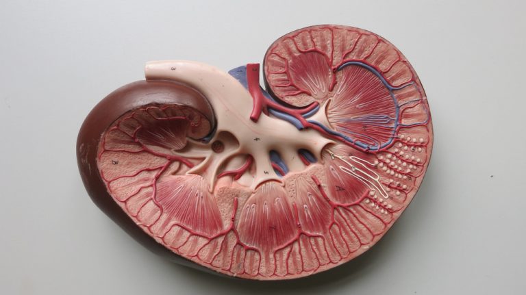 A Simple Dua/Wazifa For Weak Kidneys Or Kidney Failure