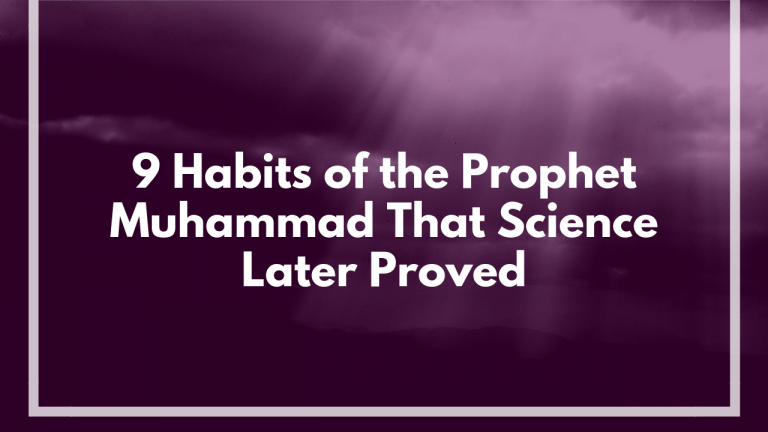 Did Prophet Muhammad PBUH Have a Cat Named Muezza?