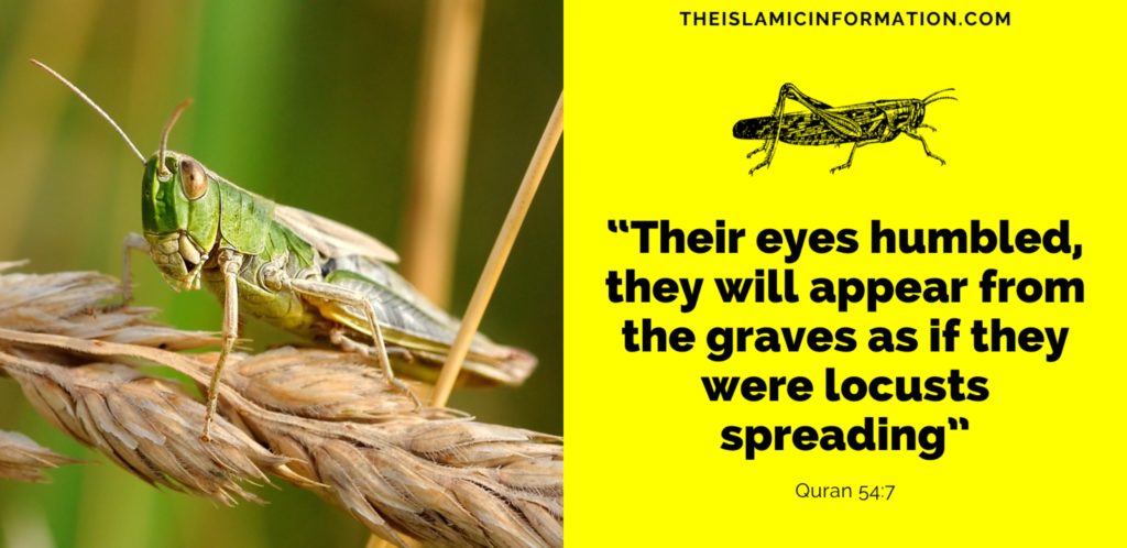 Bab E Ludd: Place Where Dajjal Will Be Killed