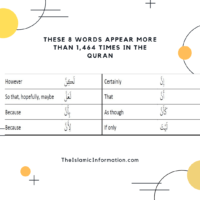 8 Words That Are Mentioned 1,464 Times in The Holy Quran