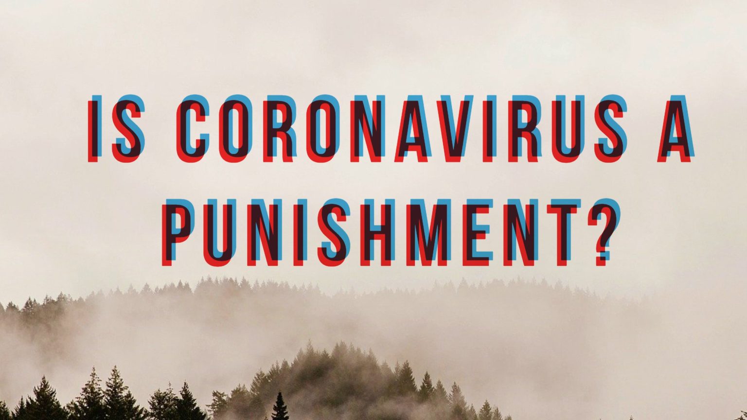 Who is Ali (RA)? - Facts, Life, and Events Of Ali Ibn Abi Talib (RA)