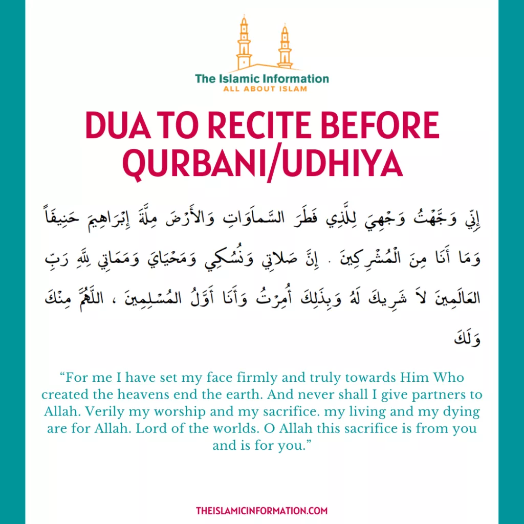 Dua for Qurbani / Udhiya, Dua to Recite Before and After Sacrifice