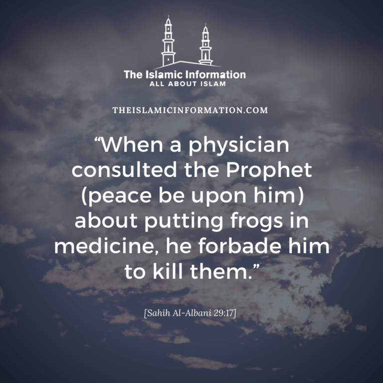 List of Halal Seafood and Haram Seafood In Islam