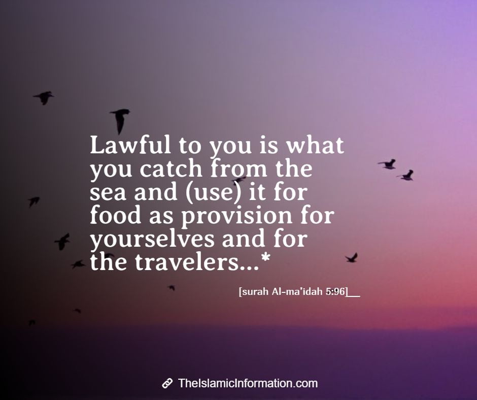 List of Halal Seafood and Haram Seafood According To Islam