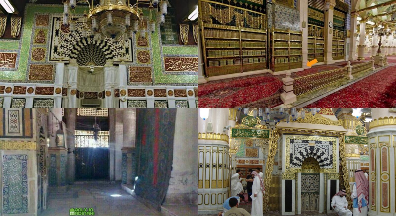 The List of Names of Plants Mentioned in the Holy Quran