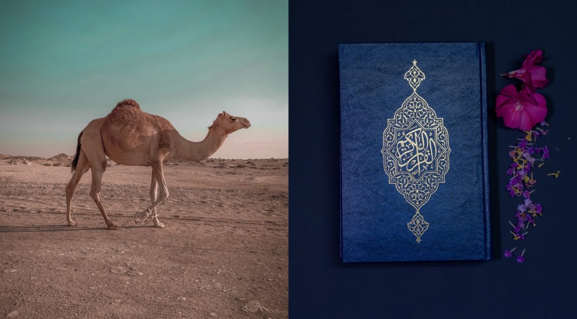 Is Mustache Halal or Haram in Islam?