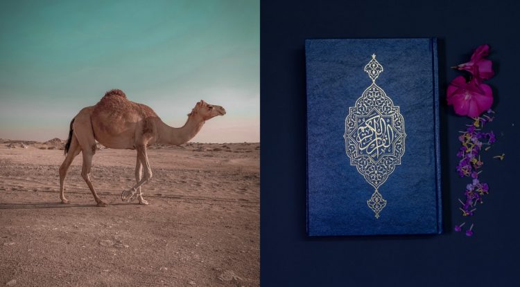 Why Allah Destroyed The People of Aad and City of Aad