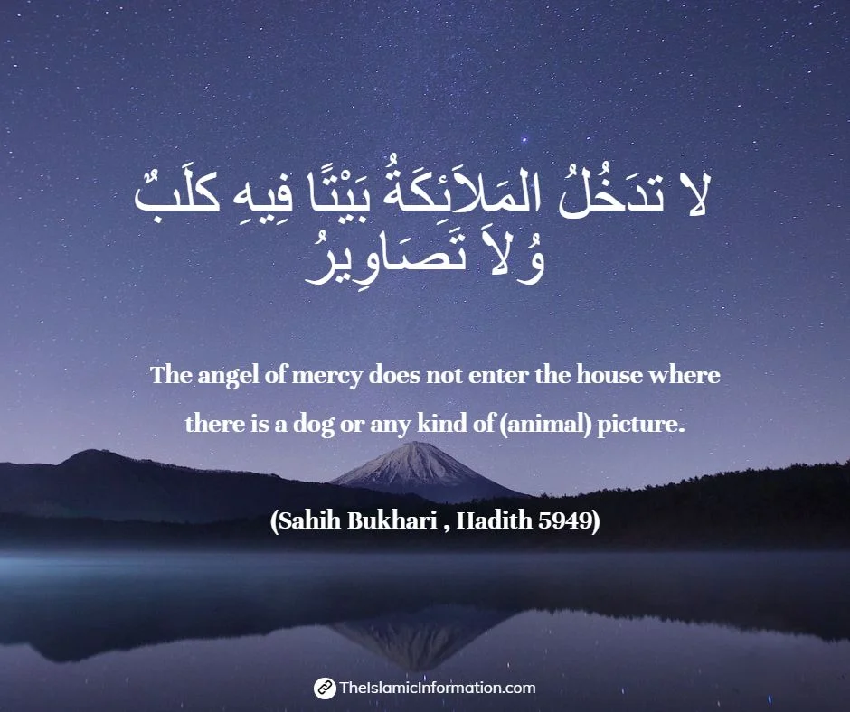 Is Keeping Dogs In The House Haram (No Permissible) As Per Islamic law?