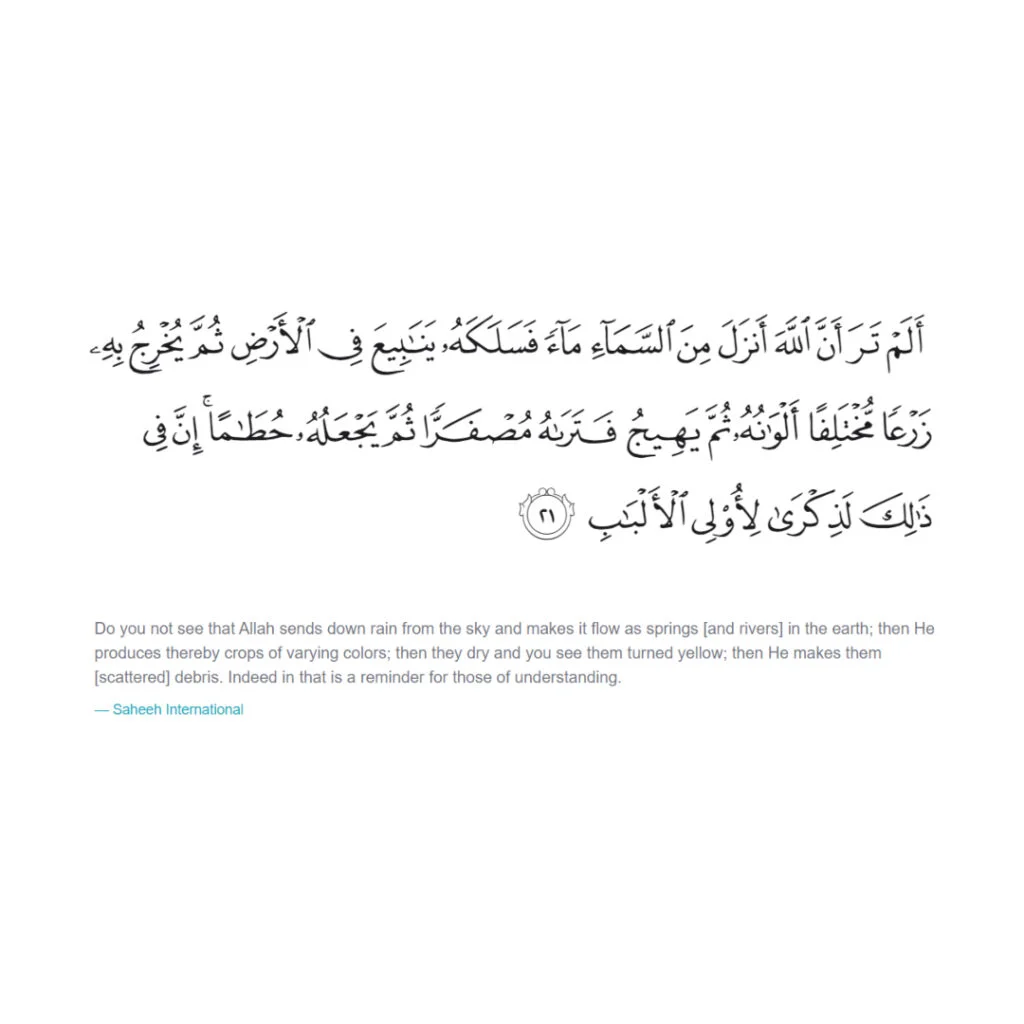 The Cycle Of The Water As Described In Quran