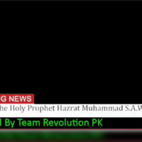 The First Islamic NFT Art Gallery Goes Live in Chicago