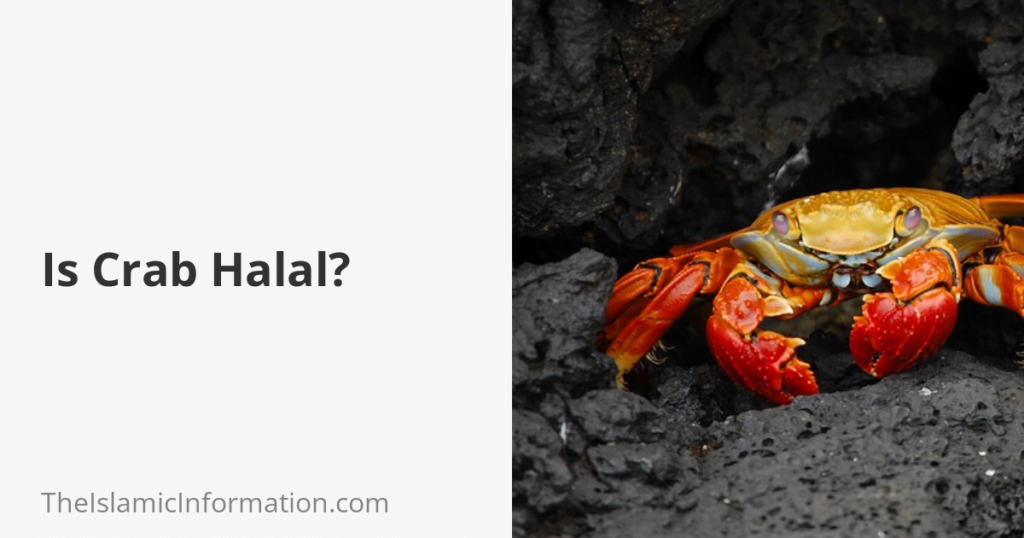 Is Crab Halal? Can Muslims Eat It? 2024