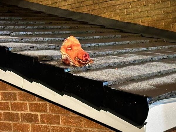 Pig's Head Thrown On The Roof Of Stockport Mosque, Suspect Arrested