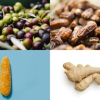 Full Story of Prophet Ibrahim (AS), All Life Events In Detail