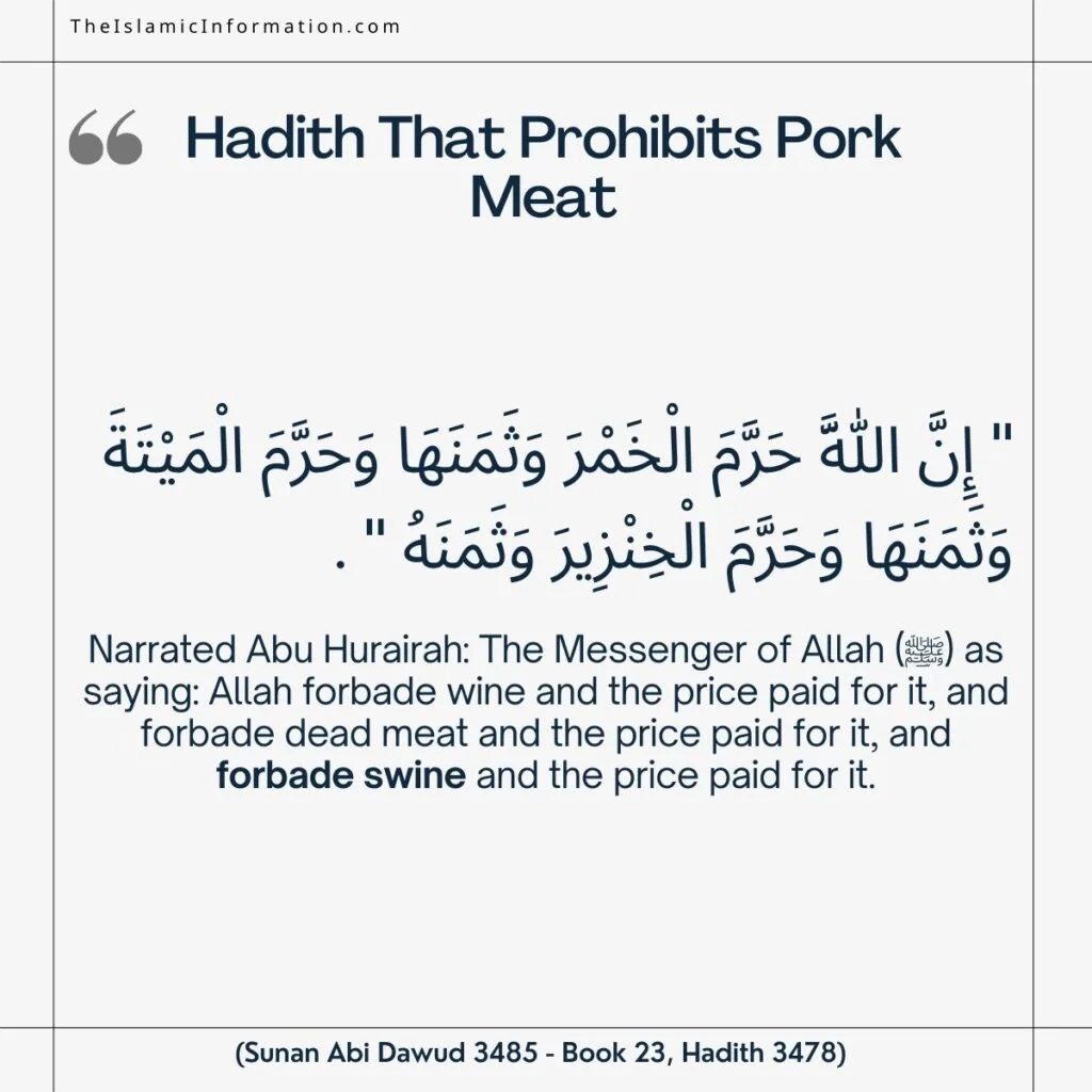 12 Major Reasons Why Muslims Do Not Eat Pork