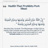 12 Major Reasons Why Muslims Do Not Eat Pork