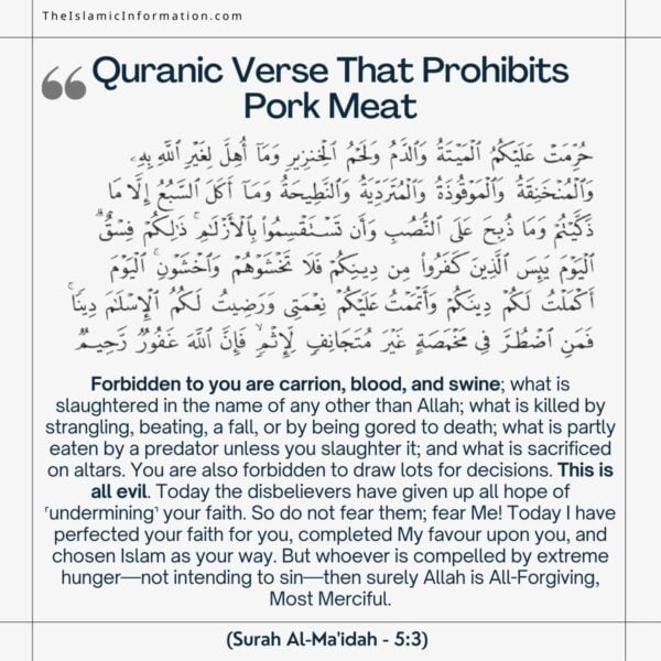 12 Major Reasons Why Muslims Do Not Eat Pork