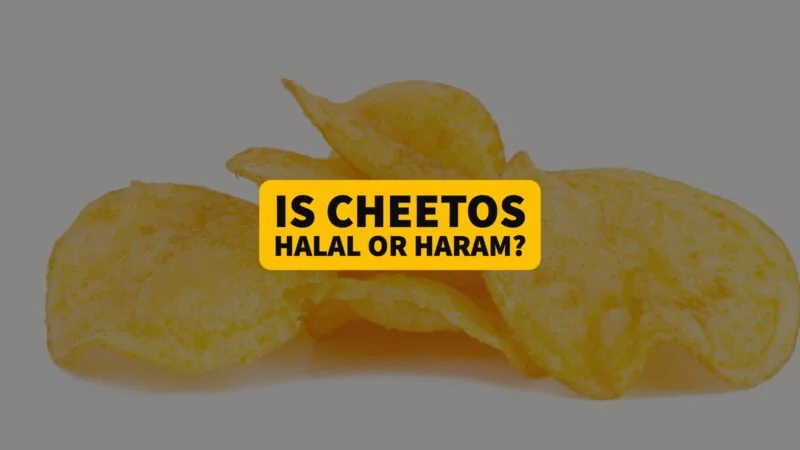 Is Cheetos Halal? Can Muslims Eat It? 2024