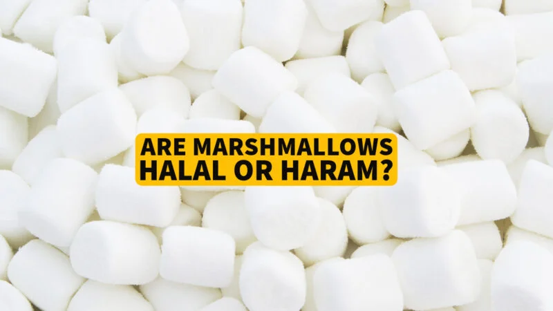 Are Marshmallows Halal or Haram? Can Muslims Eat It? 2024