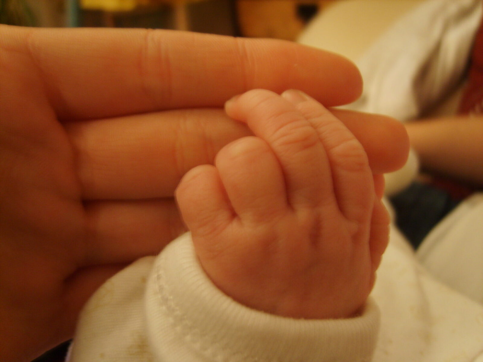 Is Cava Halal? Can Muslims Eat It? 2026