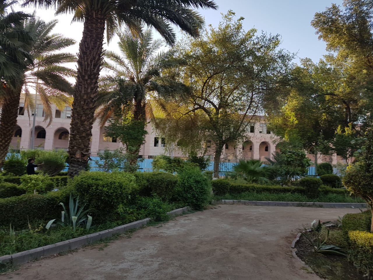 5 Must Visit Gardens In Madinah